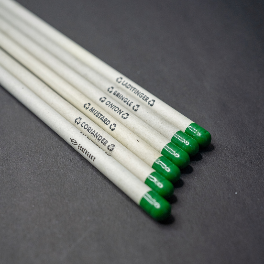 Paper Pencil - Eco-Friendly Writing Tools for a Greener World – EcoFreaky